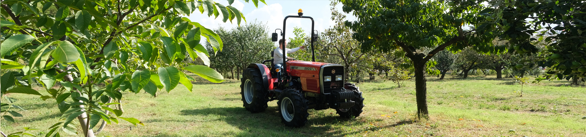 260 G / 280 G Stage 5 Hattat-En